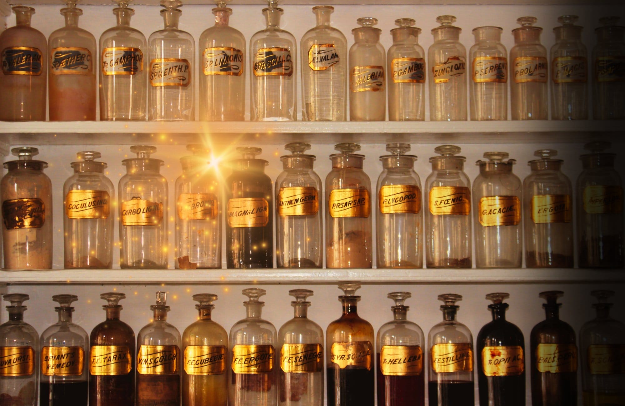 Rachel Bellman, Eden Tredwell & Tanya Truman - artsdepot